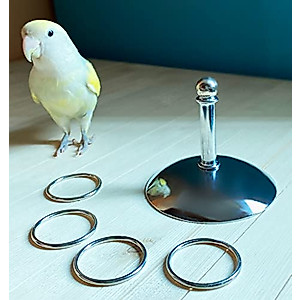 YANQIN Bird Toys Parrot Stacking Rings Toys Stainless Steel Tabletop Training Chew Toys for Small and Medium Parrots and Birds Developing Bird Intelligence (Small)