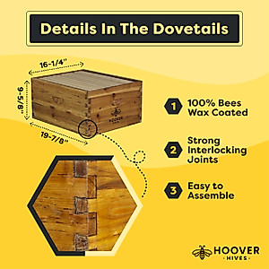 Hoover Hives 10 Frame Langstroth Beehive Dipped in 100% Beeswax Includes Wooden Frames & Waxed Foundations (2 Deep Boxes, 1 Medium Box)