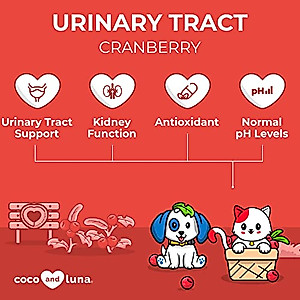 Cranberry for Dogs and Cats - Urinary Tract Support, Cat UTI, Bladder Support, Dog UTI, Bladder Stones and Incontinence Support