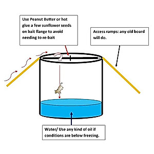 RINNETRAPS, Rolling Log Mouse Trap, Tested & Proven Effective Capture or Kill of Mice, Small Rats or Rodents, Humane for Pest Control, Catches Safe with No Poison: Made & Designed in The USA (1)