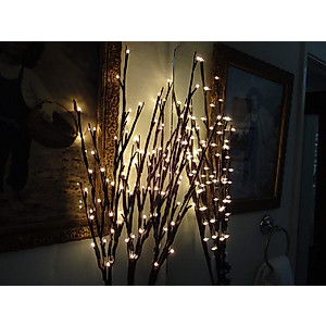 The Light Garden WLWB96 Electric/Corded Willow Branch with 96 LED Lights, 40 Inch