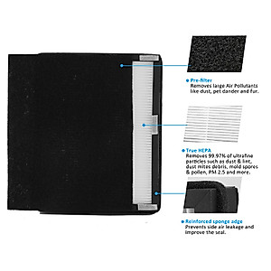 IAF-H-100A True HEPA Idylis A Replacement Filter, Compatible with FAP-C01-A, Idylis Air Purifiers AC-2119, IAP-10-100, IAP-10-150, IAPC-40-140, Part # 1150096, 2 HEPA + 2 Carbon Pre-filters
