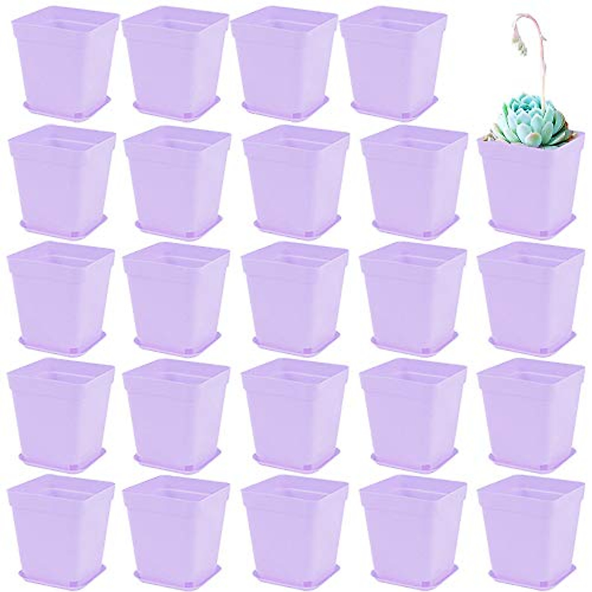 24 Pack Plastic Square Nursery Pots 3 Inch Plastic Plant Pots,Flower Pot with Tray Saucer for Indoor Outdoor Garden Office Decor