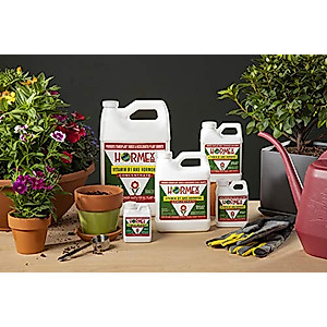 Hormex Vitamin B1 Rooting Hormone Concentrate - Rooting Hormone for Hydroponics, Aeroponics, Established Plants, Cuttings and More, Indoor and Outdoor Plant Growth Stimulator Concentrate - (8oz)