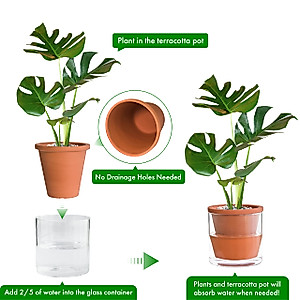 D'vine Dev 6 Inch Design Self Watering Pot for Indoor Plants, Terracotta Planter with Cylinder Glass Cup, Set of 2, 372-B-2