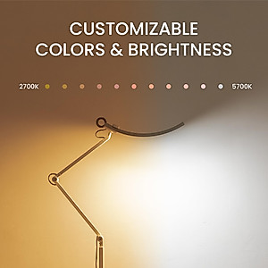 BenQ e-Reading LED Floor Lamp Warm/Cool White LED Floor Lamp, Silver, Model: AR15_D Floor Silver (New)