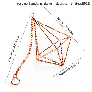 libproqia 5 Pcs Hanging Geometric Air Plants Holders Twisted Metal Airplant Hangers Small Diamond Shape Tillandsia Planter Display with Chains Himmeli Decor for Home and Office,Rose Gold