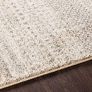 Livabliss Anya Neutral and Gray Shag Area Rug 2'6" x 8'