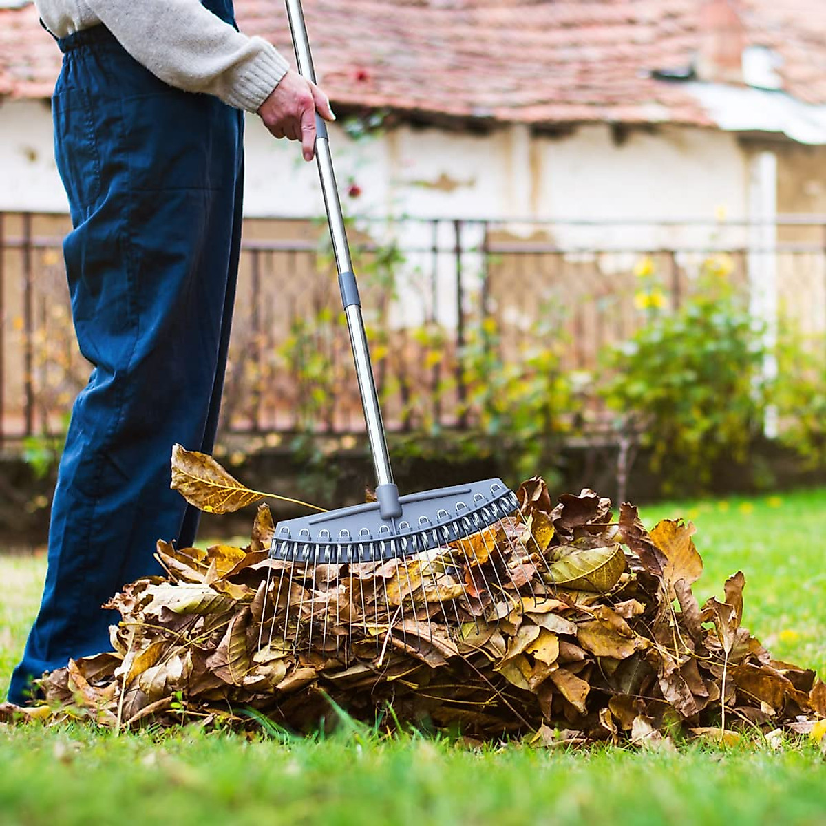Colwelt Thatch Rake -24 Steel Tines, Dethatching Rake with 54’’ Lightweight Stainless Steel Handle, Yard Dethatcher Rake for Lawn(Pine Needles, Dead Grass, Thatch, Leaves, Mulch)