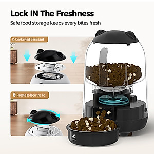 Automatic Cat Feeder, 3L Timed Cat Feeder for Dry Food Up to 6 portions, 6 Meals/Day, Dual Power Supply Cat Feeders