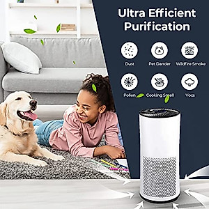 Air Purifier for Home Bedroom Office Desktop Pet Room Air Cleaner for Car with True HEPA Filters and Silence white plus