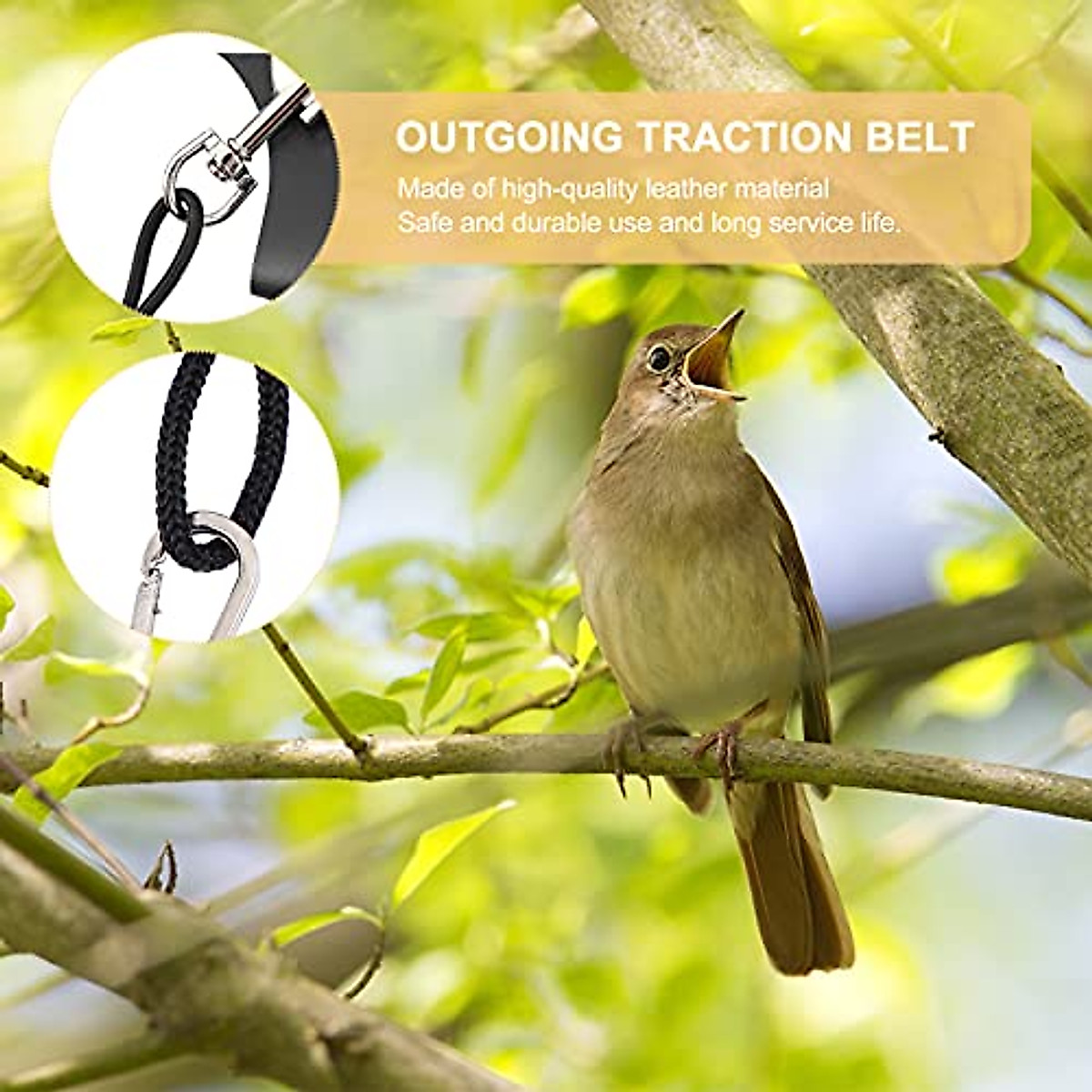 STOBOK Parrot Bird Harness Leash Adjustable Bird Flying Harness Traction Rope for Parrots Pigeons Budgerigar Lovebird Cockatiel Mynah Outdoor