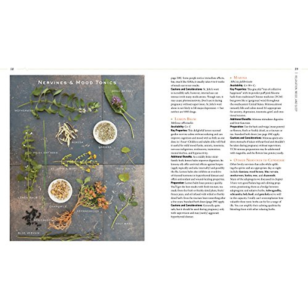 Body into Balance: An Herbal Guide to Holistic Self-Care