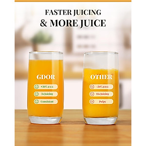 GDOR Powerful 1200W Juicer with Larger 3.2" Feed Chute, Titanium Enhanced Cutting System, Centrifugal Juice Extractor Maker with Heavy Duty Full Copper Motor, Dual Speeds, BPA-Free, Silver