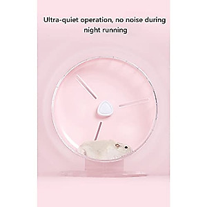 TDDGG 21CM Hamster Running Wheel Silent Rotatory Jogging Toy Roller Exercise Sports Disc Hedgehog Cage Small Treadmill Pet Supplies (Color : White)