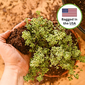 Perfect Plants Indoor Plant Soil 8qt | Perfectly Balanced Potting Mix | Gardening Substrate for All Varieties of Live houseplants