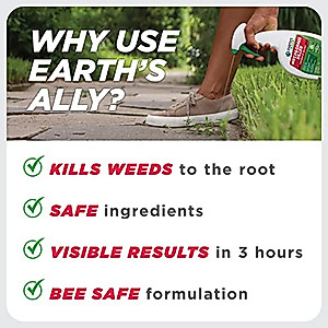 Earth's Ally Weed and Grass Killer | Safe, Pet-Friendly Natural Weed Control Spray for Patios, Driveways & Sidewalks, Ready-to-Use 24oz - Bee Safe, No Glyphosate Weed Killer