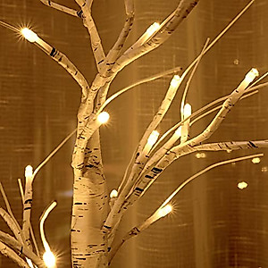 COSYWARM 2FT 24 LED Birch Tree Light, USB and Battery Powered Tabletop Tree Light, Warm White Birch Tree with Light for Home Christmas Wedding Party Decorations.