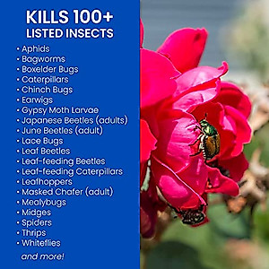 BioAdvanced 2-in-1 Systemic Rose and Flower Care II, Granules, 5 lb with BioAdvanced Rose and Flower Insect Killer, Ready-to-Use, 24 oz