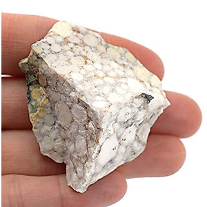 6PK Raw Conglomerate, Sedimentary Rock Specimens - Approx. 1" - Geologist Selected & Hand Processed - Great for Science Classrooms - Class Pack - Eisco Labs