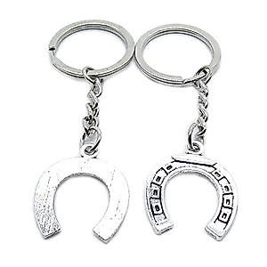 100 Pieces Keychain Keyring Door Car Key Chain Ring Tag Charms Supplies EB2S9R Horseshoe Horse Hoof