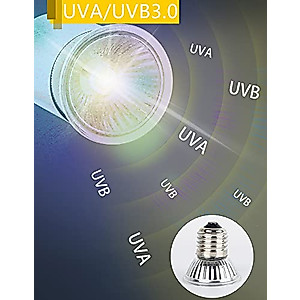 HOMUREN 8pcs 25W 220V Reptile Heat Lamp Bulb Turtle Back UVB+UVA Full Spectrum Sun Light Sunbathe for Lizard Amphibians