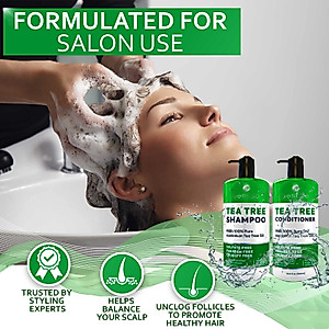 Tea Tree Oil Shampoo and Conditioner Set - Anti Dandruff Treatment for Itchy, Dry Scalps - Ideal for Women and Men with Oily Hair and Scalp Buildup - Sulfate and Paraben Free