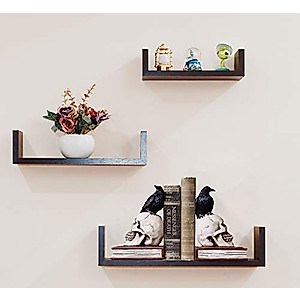 DWK - Murder and Mystery - Ravens on Skulls Bookends Gothic Poe Crow Reading Bookshelf Theme for Your Library Home Décor Book Shelf Accent 8.5 Inches in Length