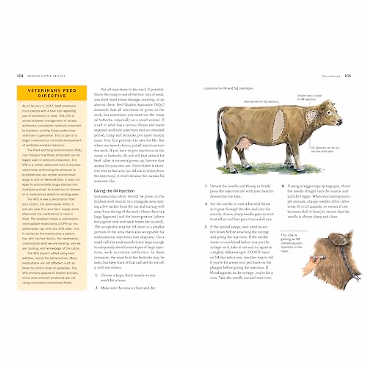 Storey's Guide to Raising Beef Cattle, 4th Edition: Health, Handling, Breeding