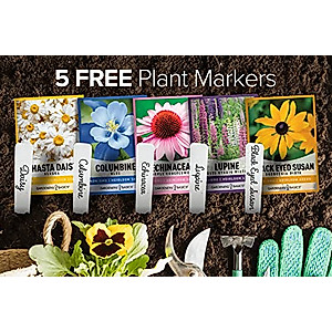 Perennial Flower Seeds for Planting Outdoors (5 Variety Pack) Lupine, Columbine, Echinacea Purple Coneflower, Black Eyed Susan, Shasta Daisy for Pollinators Wildflower Seed by Gardeners Basics