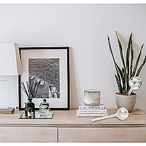 10 Pcs Plant Watering Globes,Clear Automatic Watering Bulbs,Plastic Garden Water Device for Plants,Water Drip Irrigationdevice Watering System