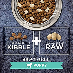 Instinct Raw Boost Puppy Grain Free Recipe with Real Chicken Natural Dry Dog Food, 10 lb. Bag