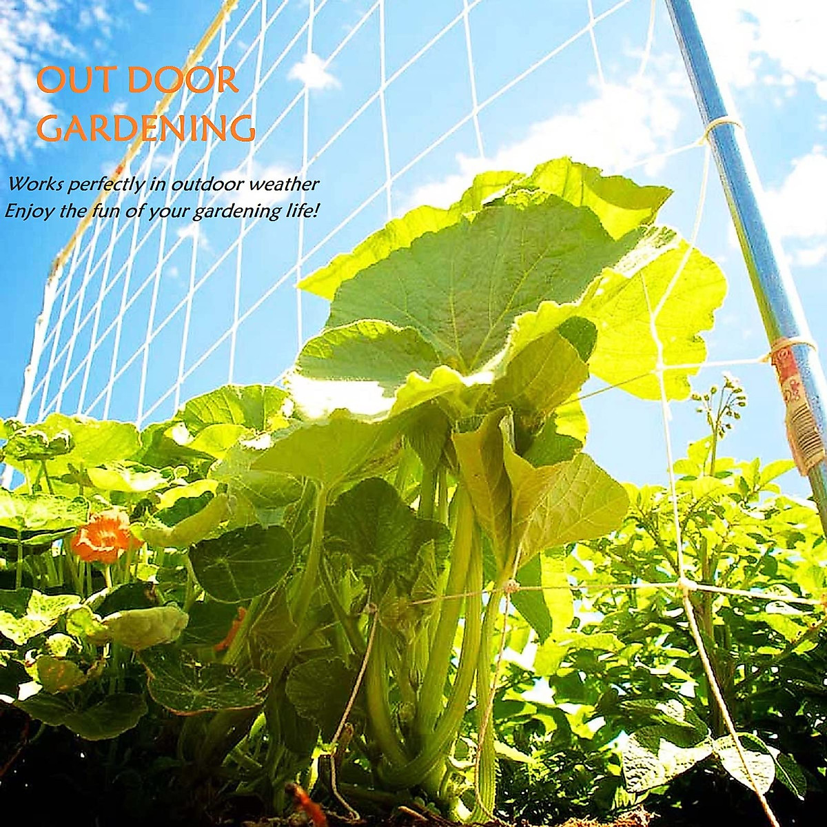 RC SLL Garden Trellis Netting 5×15FT 2-Pack,Heavy-Duty Polyester Trellis Net for Climbing Plants Outdoor,Plant Supporting Net for Vine Plants,Hydroponics Garden Climbing Net,Bonus One Twist Tie