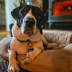 Black Fireplace Screen with Doors Fireplace Cover Screen Fireplace Screens Decorative Large Flat Guard Fire Screens Metal Mesh Wrought Iron Fire Place Panels Wood Burning Stove Accessories