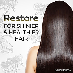 Tio Nacho Younger Looking Revitalizing Shampoo with Royal Jelly, 14 Ounces