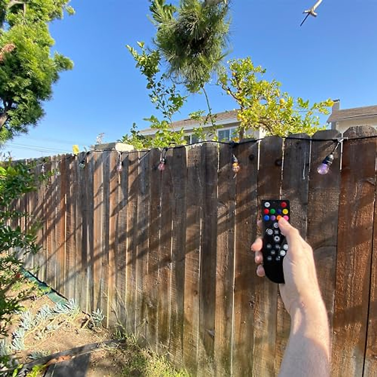 Feit Electric 24" 12pc. Light Color Changing Smart WiFi String Lights with Scheduling Features and Works with Alexa/Google Assistant, Heavy Duty and Weather Resistant - Clear Bulb - SL24-12/RGBW/AG