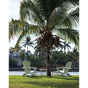 POLYWOOD R100WH Presidential Rocking Chair, White & SBT18WH South Beach 18" Outdoor Side Table, White