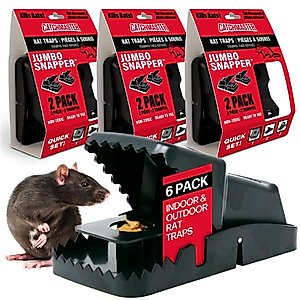 Catchmaster Jumbo Snapper Mouse Traps 6-Pk, Mouse Traps Indoor for Home, Reusable Rodent Killer for House, Outdoor Critter Catcher, Eco Friendly Pest Control for Garage, Basement, & Kitchen