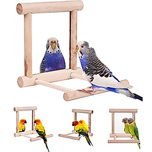 HAPPTYTOY 2Pcs Bird Mirror Fun Play Toy for Budgies Small Parrot Parakeets Love Birds Cage Swing Wooden Toy for Birds (2Pcs)
