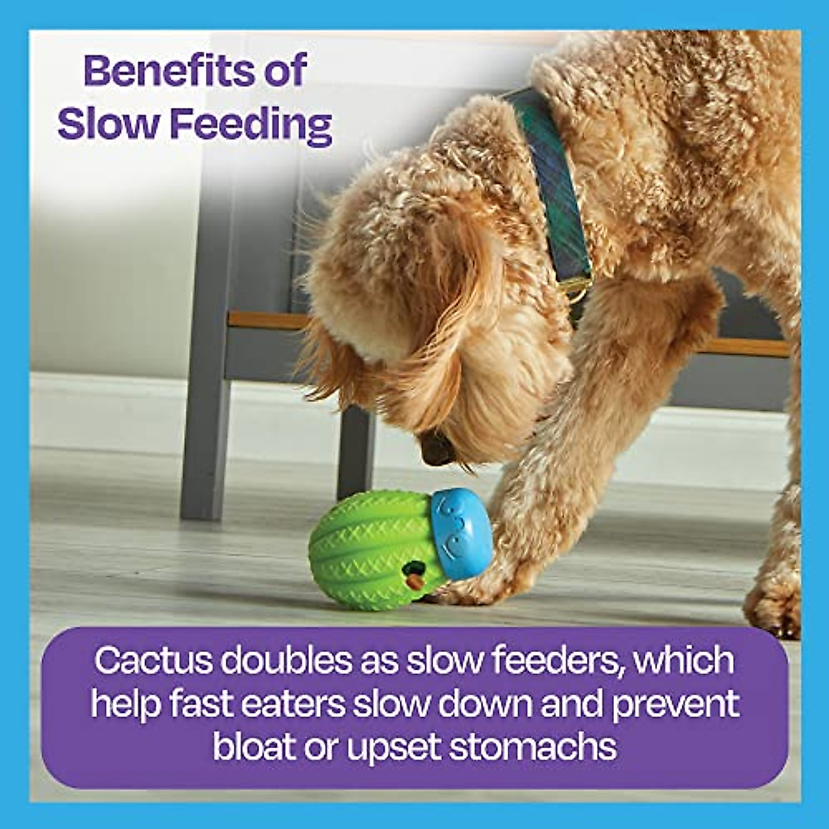 Brightkins Cactus Surprise Treat Dispenser - Treat Dog Toys, Treat Dispenser for Dogs, Dog Birthday Toy for All Breeds Medium