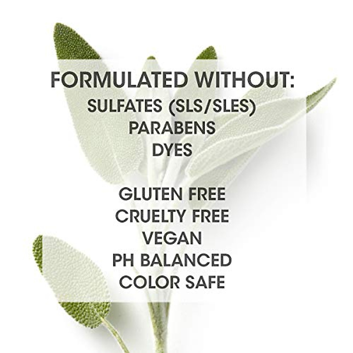 SEVEN Haircare Satara Volume Shampoo for Women & Men, Sulfate + Cruelty Free & Paraben Free with Pro Vitamin B5, Argan Oil, Hydrolyzed Quinoa Protein for Flat + Limp Hair, Made in USA, 10.8oz