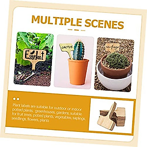 Baluue 90 Pcs Plant Label Vegetable Wooden