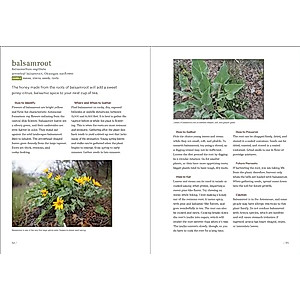 Mountain States Foraging: 115 Wild and Flavorful Edibles from Alpine Sorrel to Wild Hops (Regional Foraging Series)