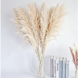 Bannifll 40" inch 10 Stems Natural Pampas Grass Decor Tall, pompas Grass, Tall Pampas Grass for Wedding, Party, Farmhouse, Boho Home Decor