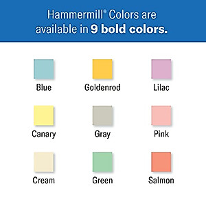 Hammermill Colored Paper, 20lb Pink Printer Paper, 8-1/2 x 11- 1 Ream (500 Sheets) - Made in the USA, Pastel Paper, 103382R