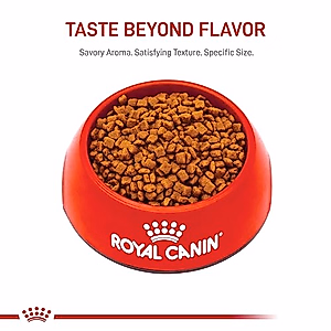 Royal Canin Feline Health Nutrition Mother & Babycat Dry Cat Food, 3 lb Bag