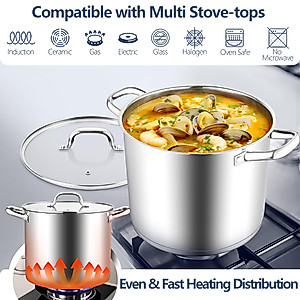 E-far 12 Quart Cooking Stock Pot, Large Stainless Steel Pot for Canning Simmering Stewing, Heavy Duty Cookware with Tri-ply Base for Induction Gas Stoves, Soup Pot with Glass Lid, Dishwasher Safe