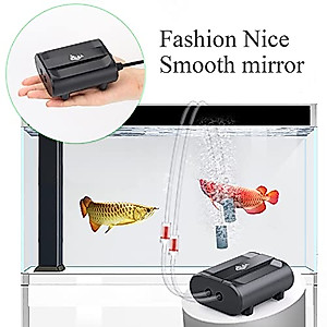 AQQA Aquarium Air Pump,3.5W 5W Dual Outlet Oxygen Pump with 2 Air Stone,Adjustable Air Valve Quiet Bubbler Pump,Up to 160 Gallon Fish Tank (3.5w)