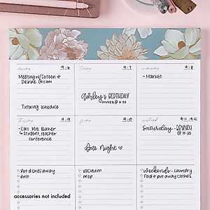 Designer Schedule Pad - Flora. 52 Perforated Sheets. 10" x 10". Weekly Schedule Organizer Planner Pad with To-Do Lists and Notes Sections by Erin Condren.