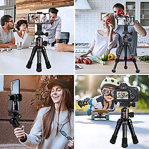 Tabletop Tripod, 20 inch Portable Desktop Mini Tripod for Camera with 360 Degree Ball Head, Aluminum Small Travel Tripod, Compatible with DSLR Camera/Video Camcorder/Cell Phone/Spotting Scope (Black)